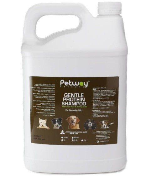 Gentle Protein Shampoo Petway 5L — Blade Exchange